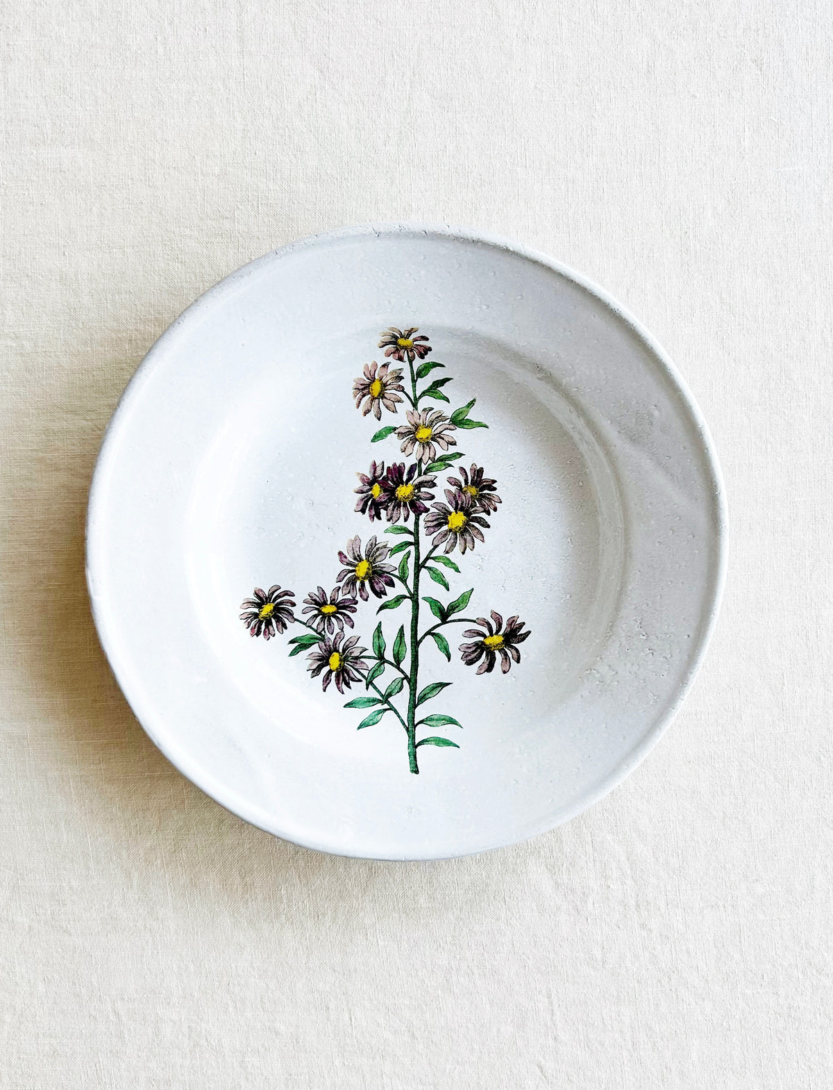Botanica Dessert Plates S/7 ~ Star Aster – thearkrentals